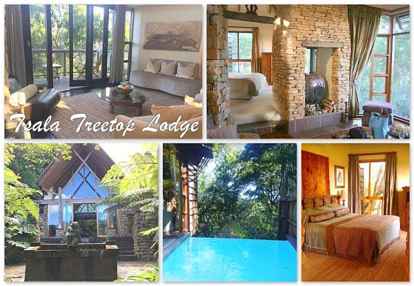 Treehouse Resort - Best Treetop Hotel In The World