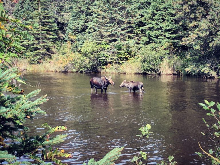 Isle Royale National Park